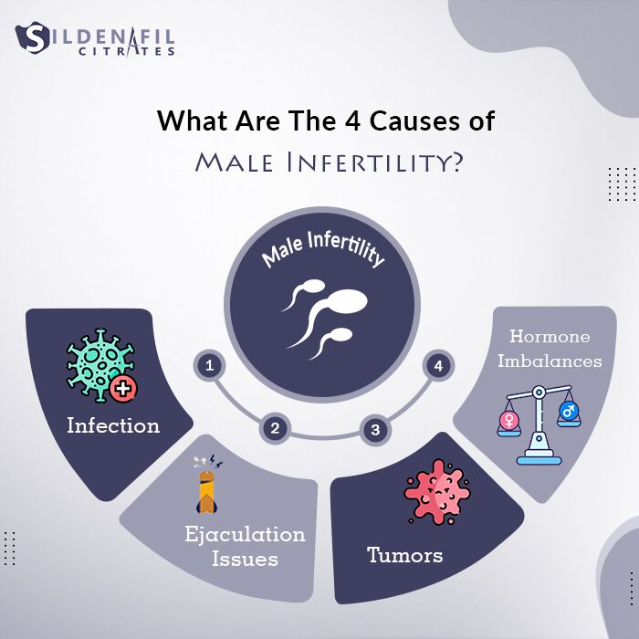 What is the Cause of Male Infertility?